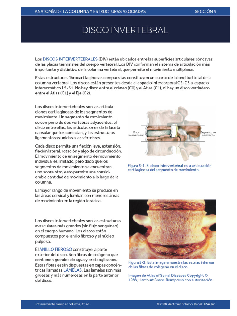 Anatomía y Función de los Discos Intervertebrales | PDF | Sistema ...