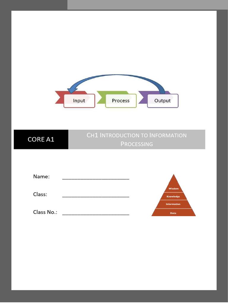 A1 - ch1 - Introduction To Information Processing | PDF | Video ...