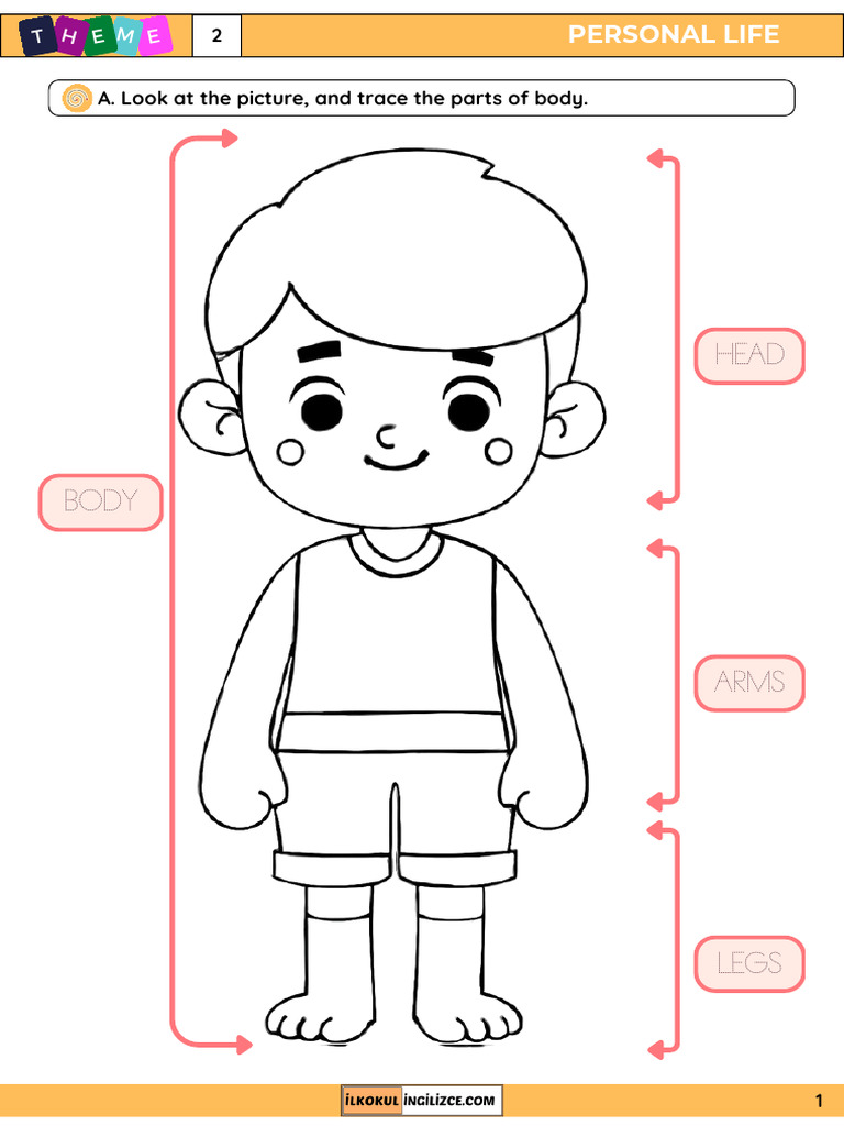 Body Parts Tracing Activity Guide | PDF