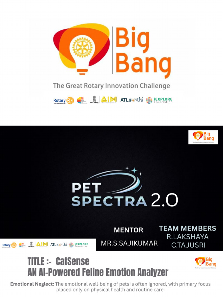 Bigbang Prelims Presentation | PDF