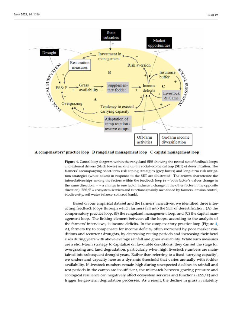 Feedback Loops in Desertification Dynamics | PDF | Ecological ...