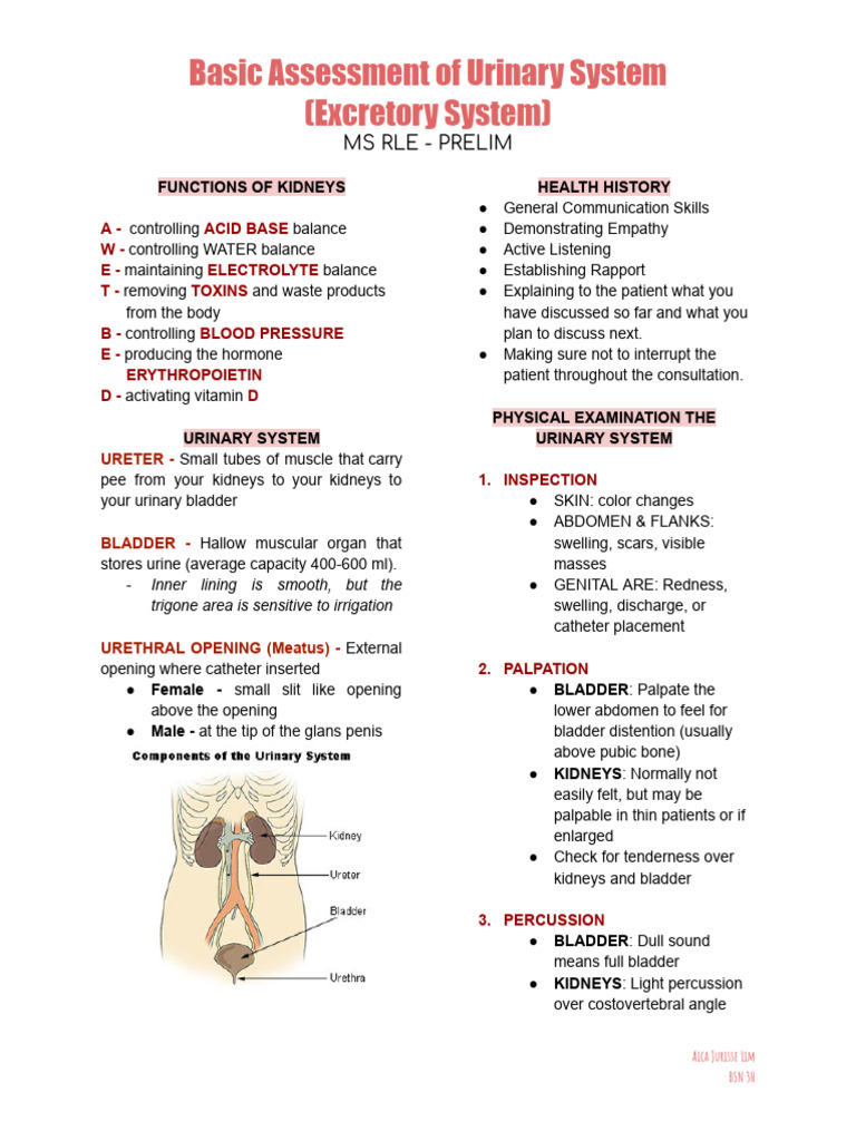 Urinary System Assessment Guide | PDF | Catheter | Urinary System
