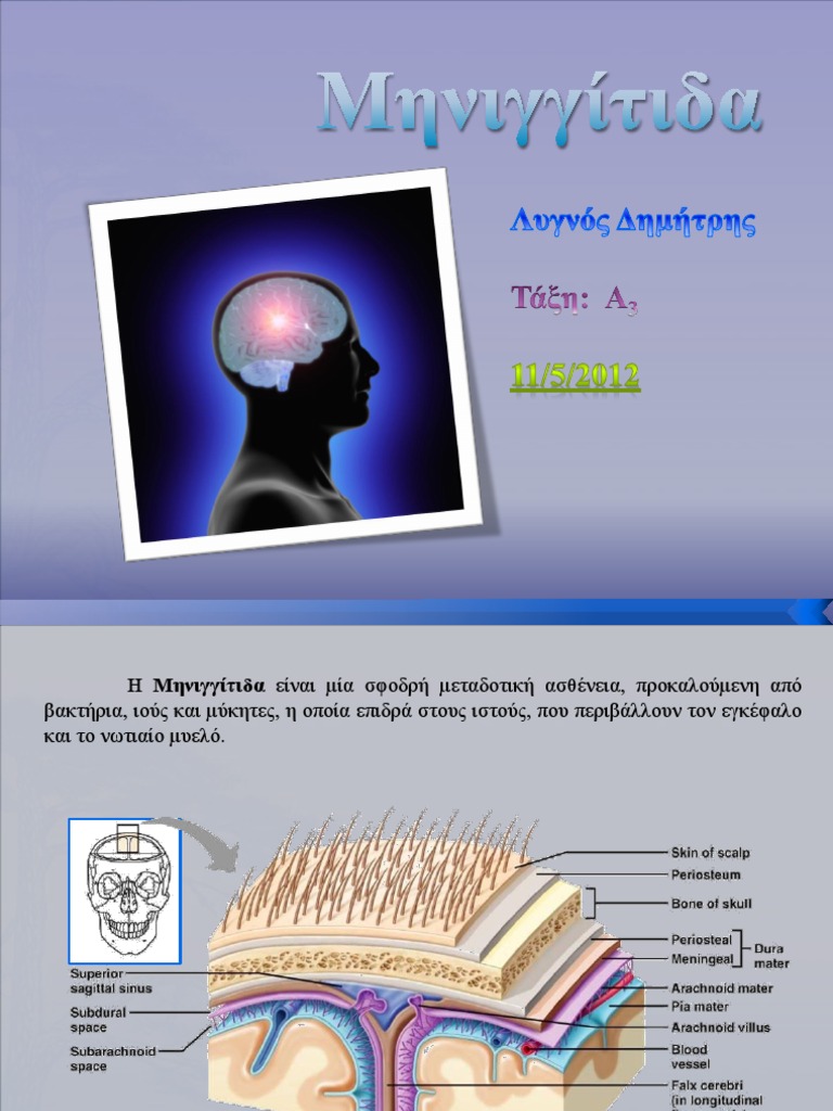 Μηνιγγίτιδα | PDF