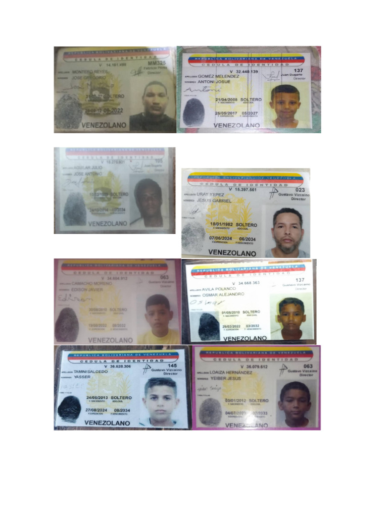 Fichas y Cedulas | PDF