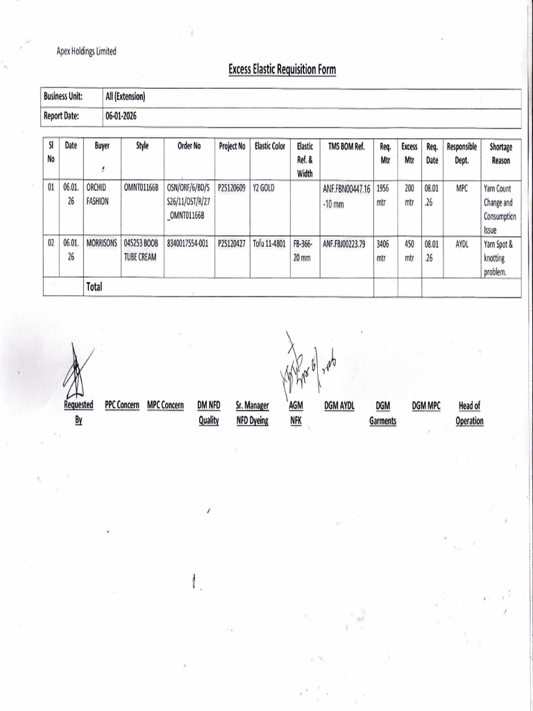 Apex Holdings Excess Elastic Form | PDF