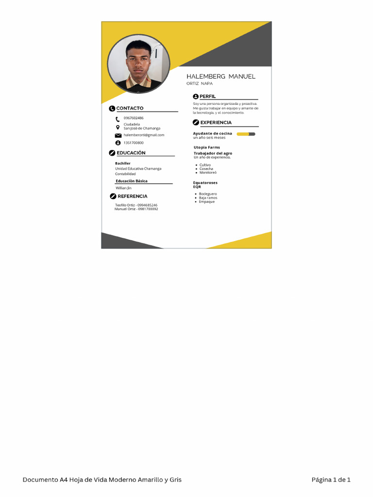 Documento A4 Hoja de Vida Moderno Amarillo y Gris_20260104_144841_0000 ...