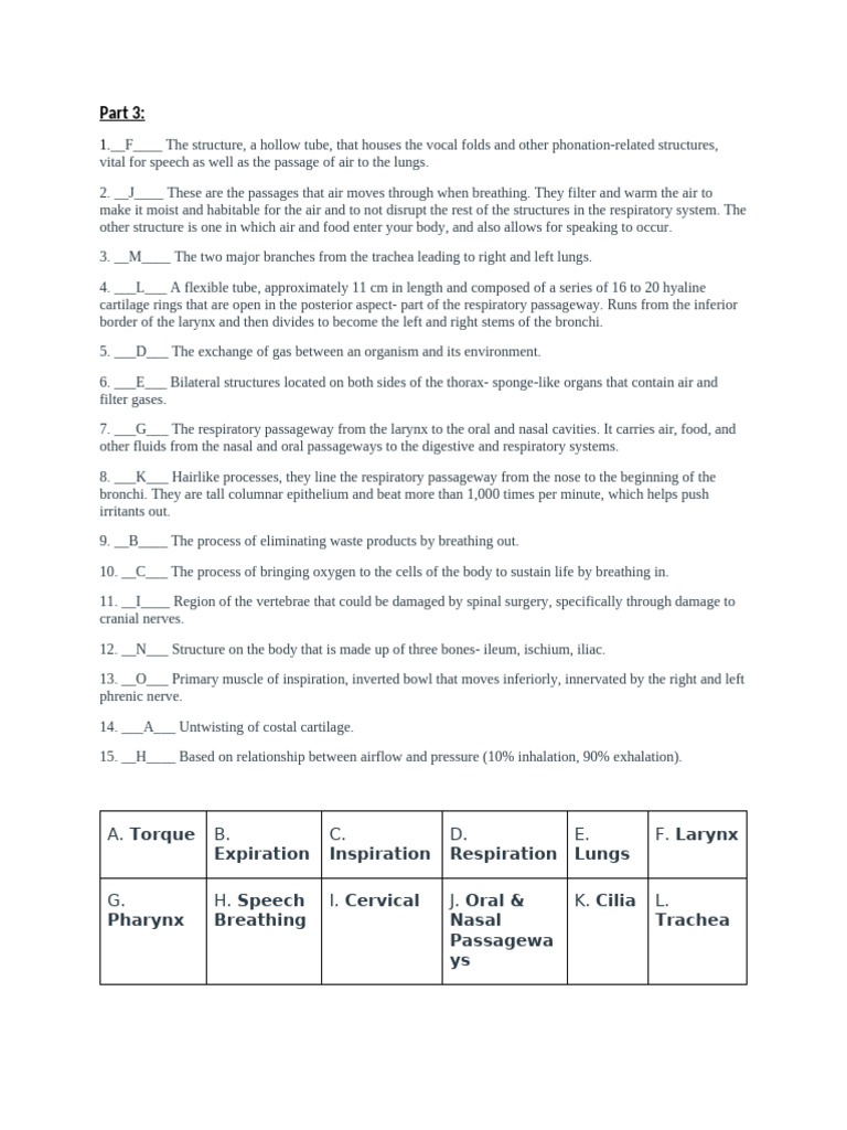 Peer Review Matching WS | PDF | Respiratory Tract | Respiratory System