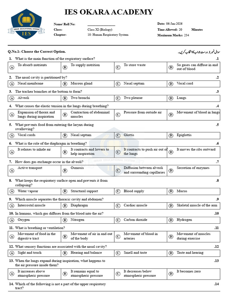 Human Respiratory System Quiz | PDF | Respiratory Tract | Lung