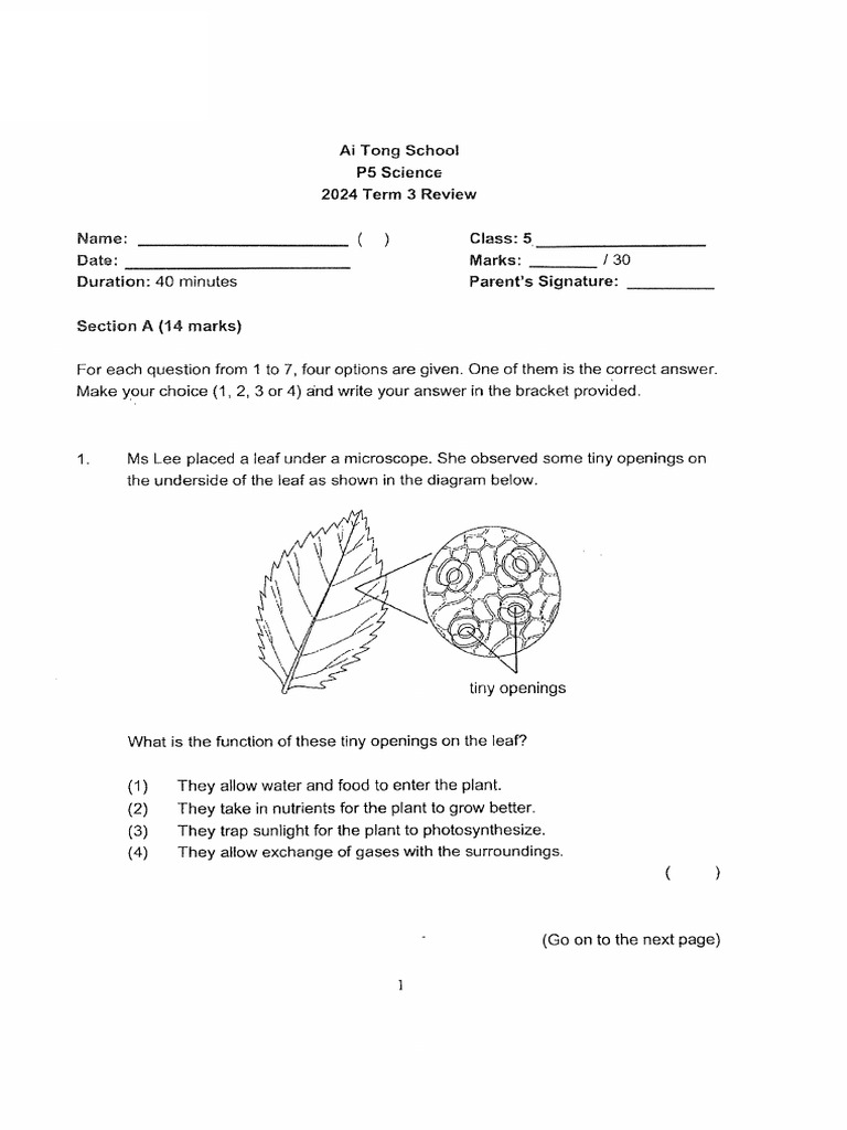 Primary 5 Science Term Review 2024 | PDF