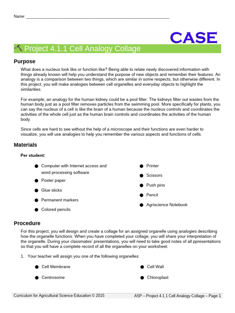 Cell Organelle Analogy Project Guide | PDF