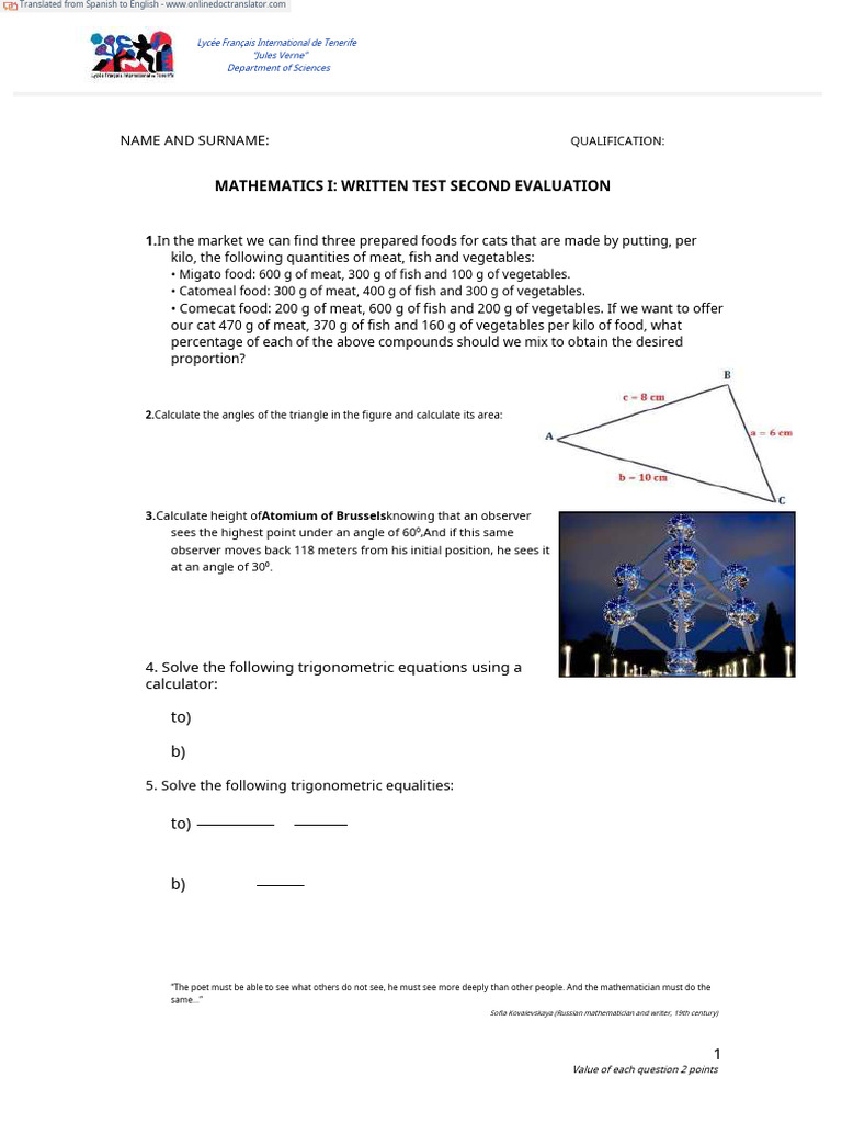 Mathematics Test: Cat Food Mixture & Geometry | PDF | Equations ...