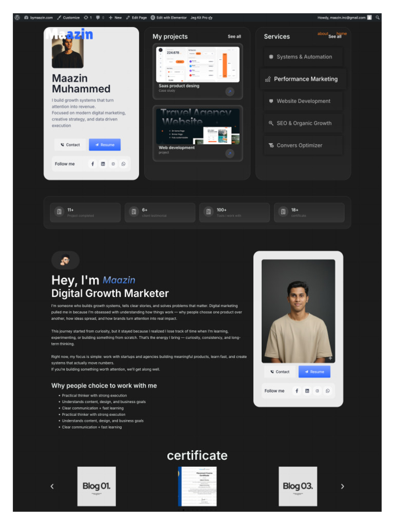 Protfolio Demo Pre Desing | PDF