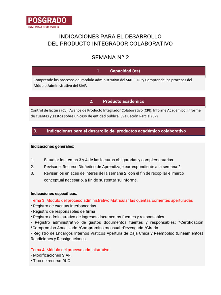 Indicaciones Para El Informe Del Producto Grupal s2 | PDF