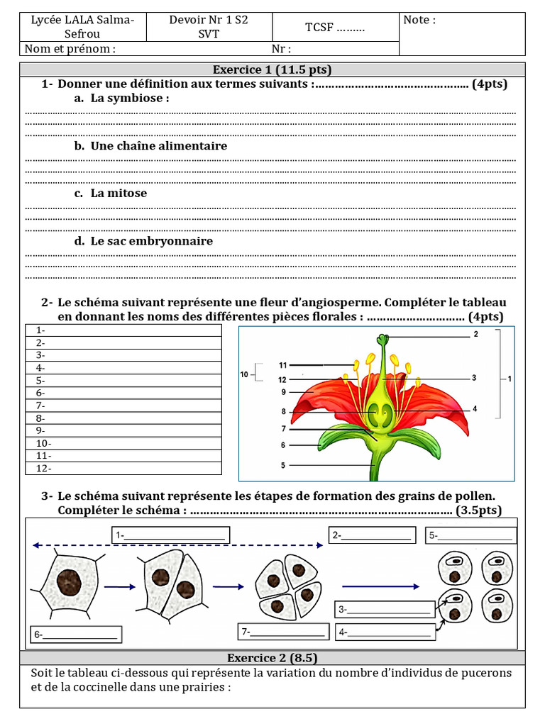 Devoir 1 TCSF1 2025 | PDF