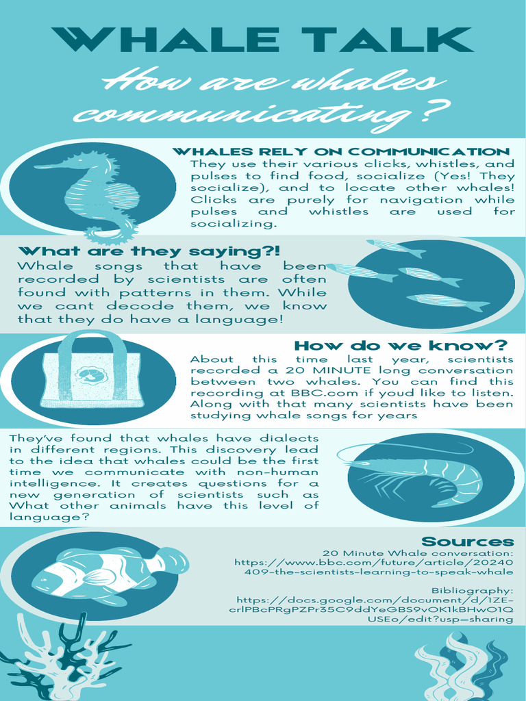 Understanding Whale Communication | PDF
