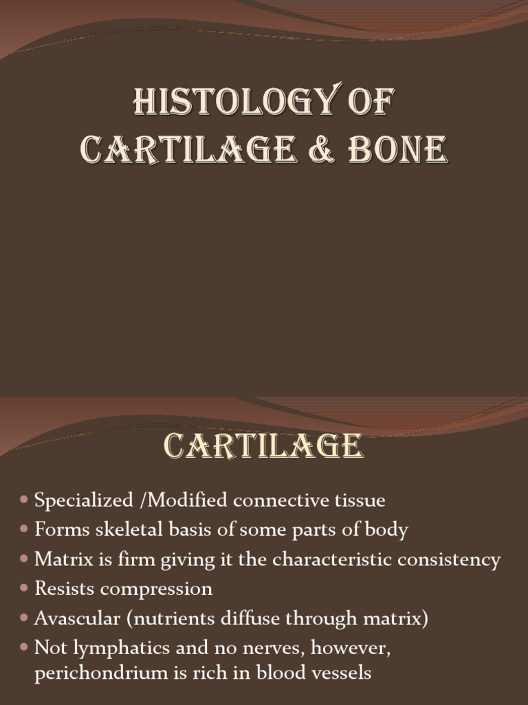 8. CARTILAGE AND BONE | PDF | Osteoblast | Cartilage