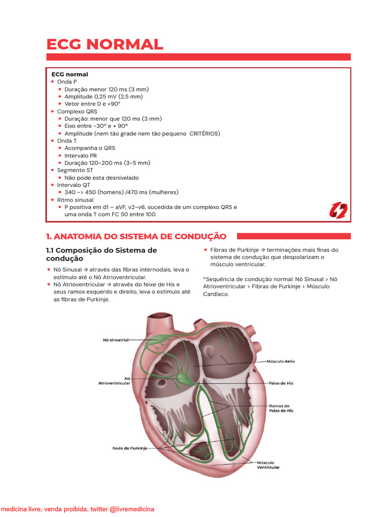 01 - ECG NORMAL | PDF | Coração | Átrio (coração)