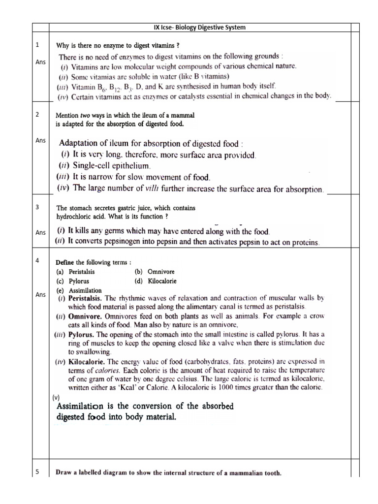 ICSE Biology: Digestive System Overview | PDF