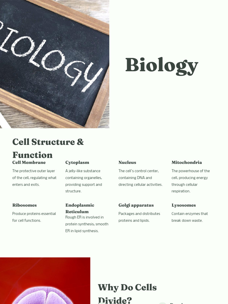 Cell Structure and Function Overview | PDF | Human Body | Cell (Biology)
