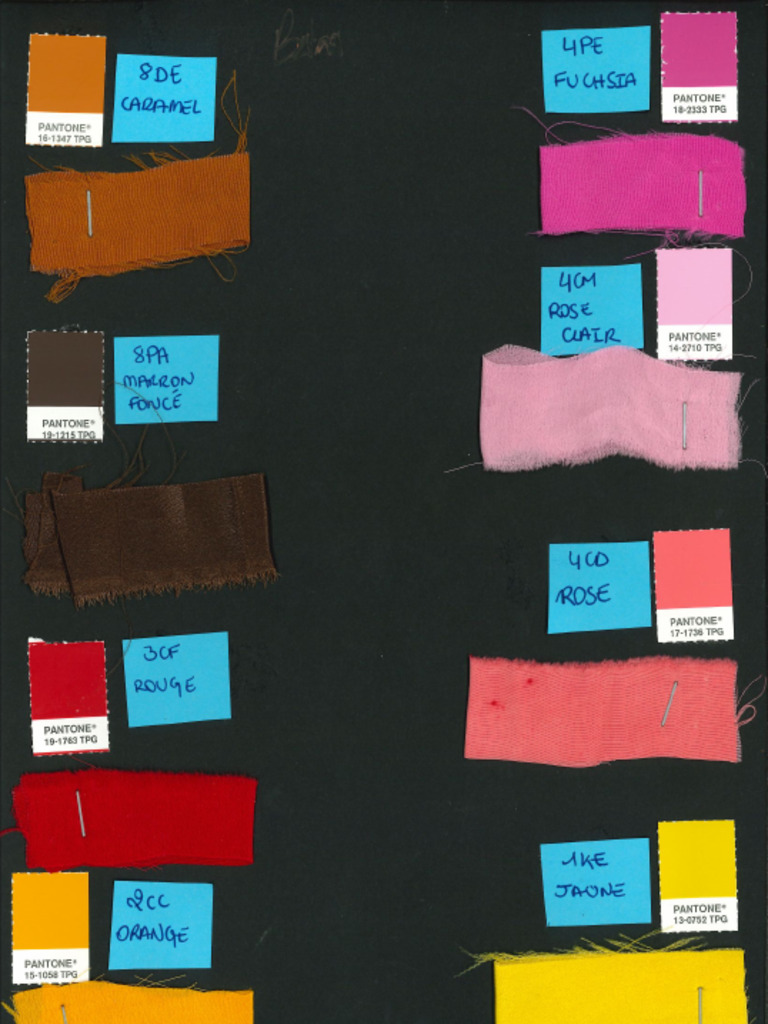 Gamme Col Roi Lion - Pantone + Code Interne | PDF