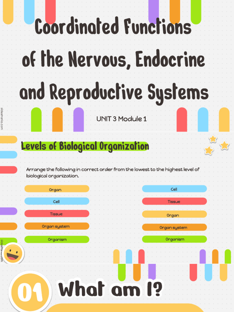 Module 1. Coordinated Functions of Nervous, Endocrine, and Reproductive ...