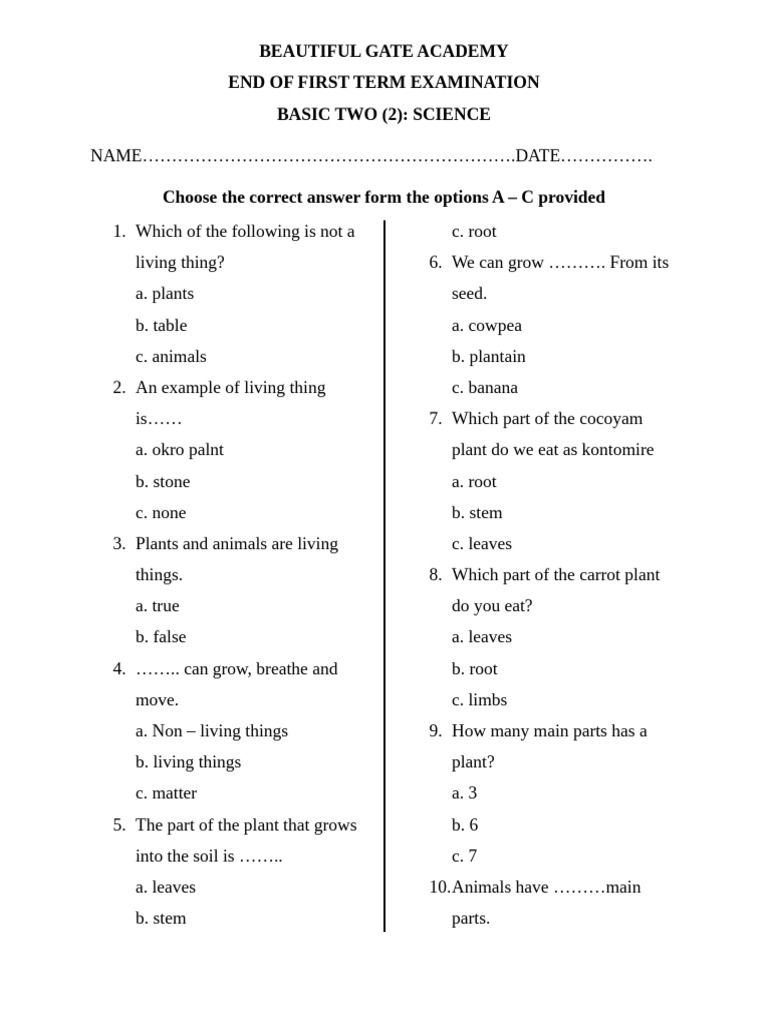 BEAUTIFUL GATE ACADEMY basic 2 | PDF | Computer Monitor