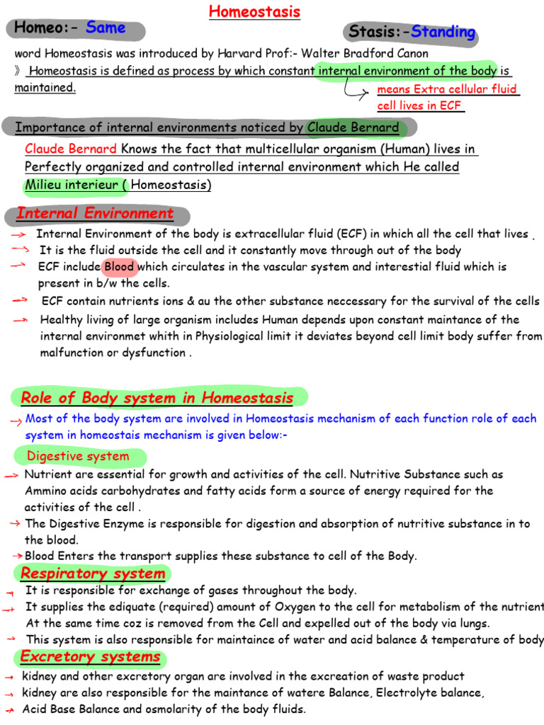 Understanding Homeostasis in Humans | PDF | Human Body | Homeostasis