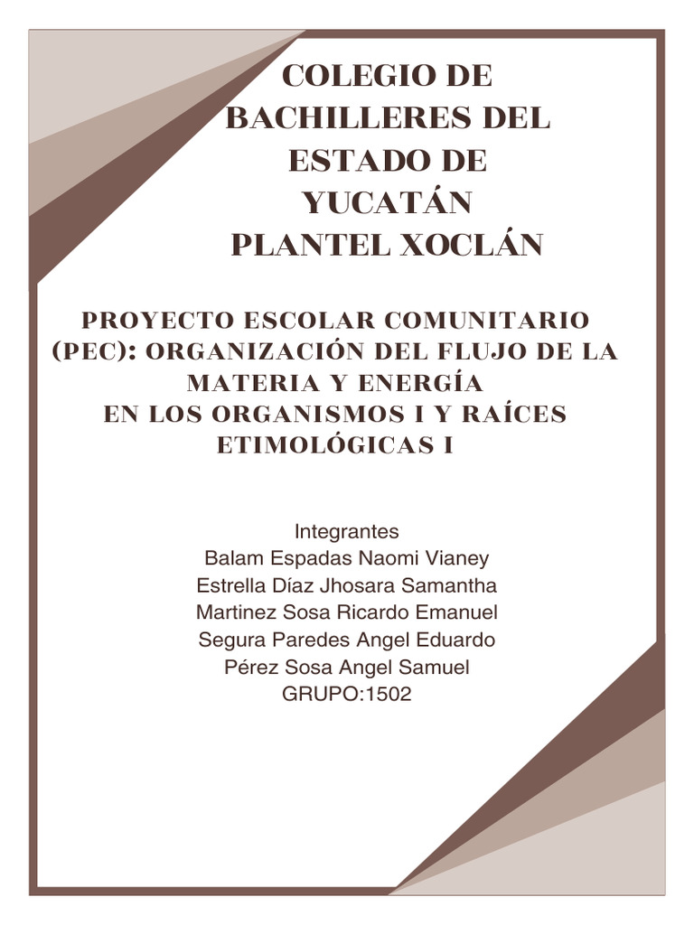 Documento A4 Portada Proyecto Sencillo Simple Marrón y Blanco ...