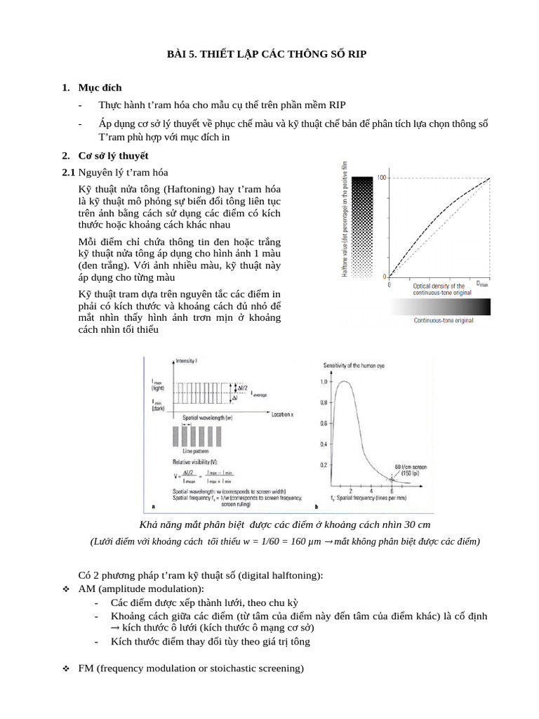 Bài 5b. Xác lập thông số RIP | PDF