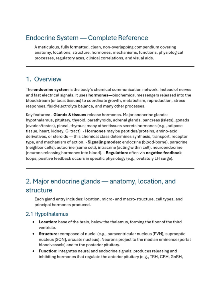 Endocrine System: Anatomy & Hormones Guide | PDF | Endocrine System ...