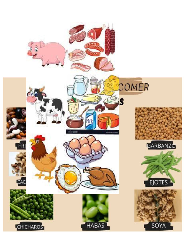 Leguminosas y Alimentos de Origen Animal | PDF