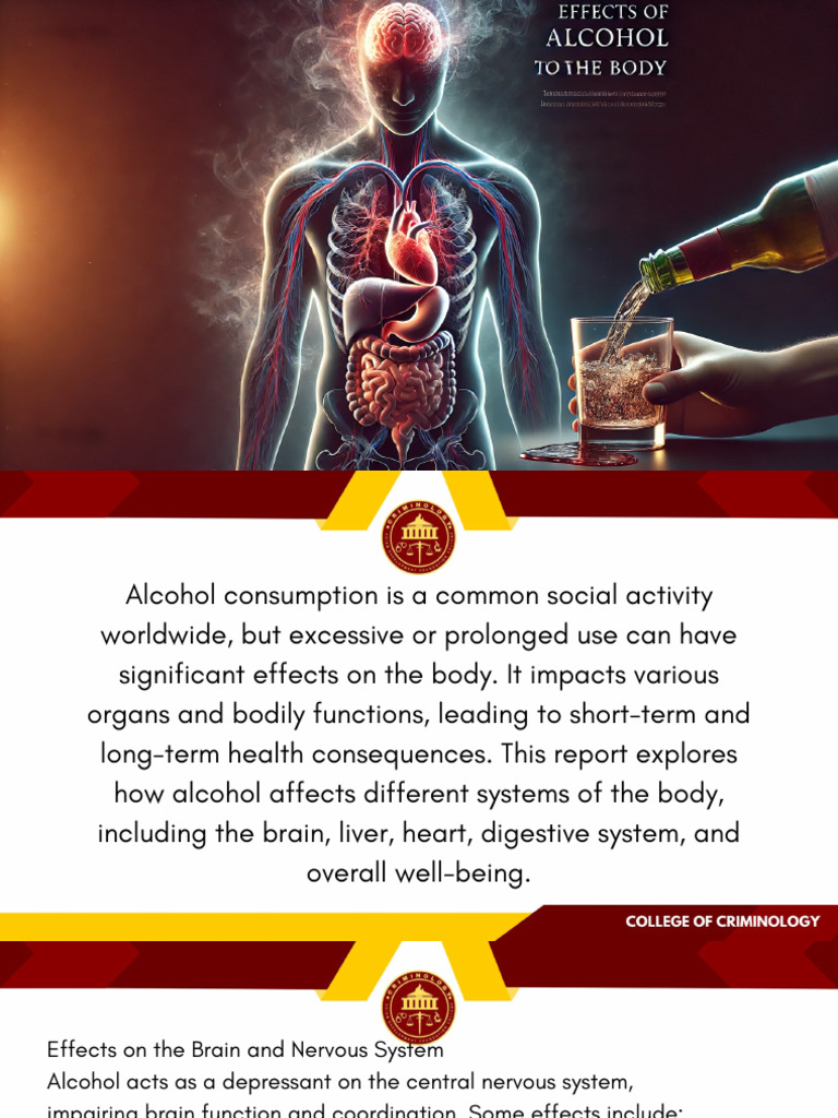 Effects of Alcohol To The Body | PDF | Alcoholism | Infertility