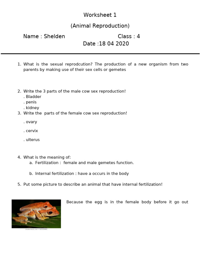 Animal Reproduction Worksheet for Kids | PDF
