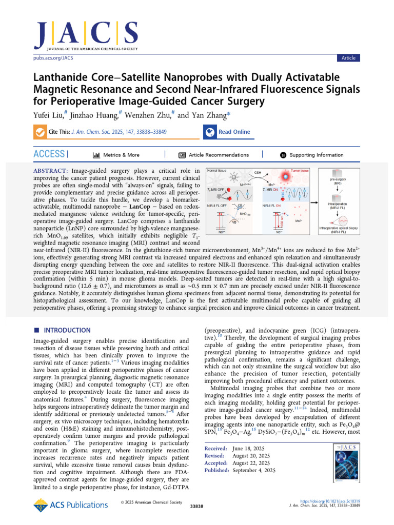 Lanthanide Core Satellite Nanoprobes With Dually Activatable Magnetic ...