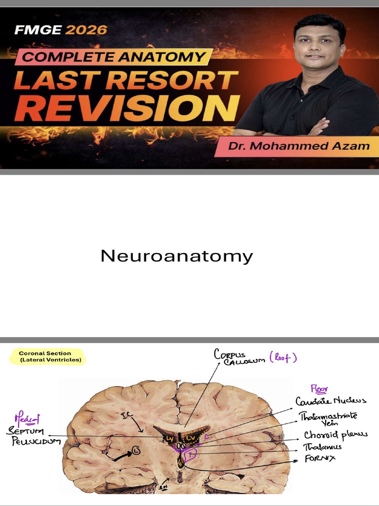 Azam Sir Anatomy LLR DEC 25 | PDF