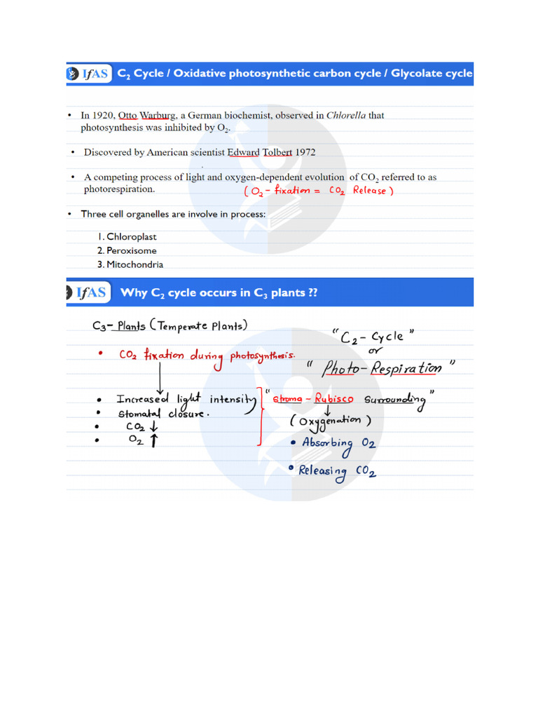 Lecture 5 | PDF