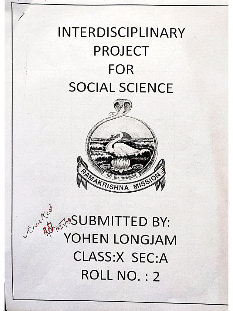 Sample 1 S.sci Interdisciplinary Project | PDF