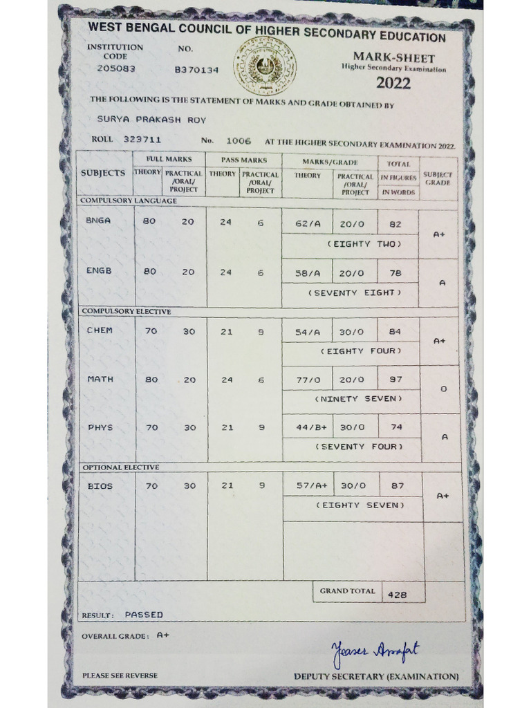 HS Marksheet | PDF