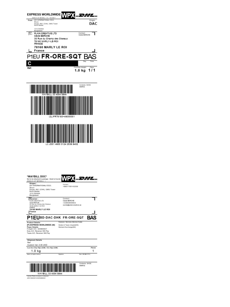DHL Shipment Details for Shoe Sample | PDF | Payments