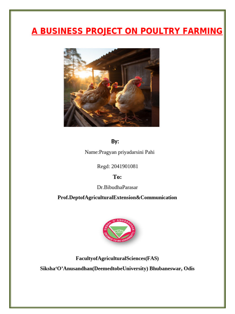 Poultry Farming Business Project Report | PDF | Avian Influenza ...