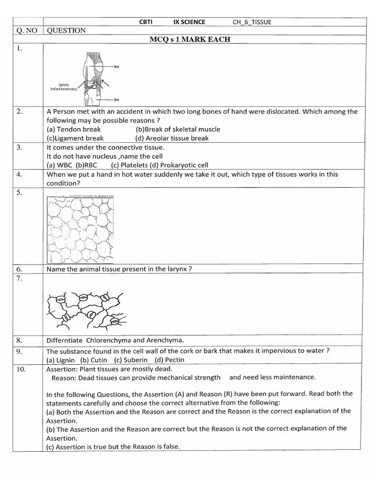 Class 9 Science Mark Type Questions CH_6_TISSUE | PDF