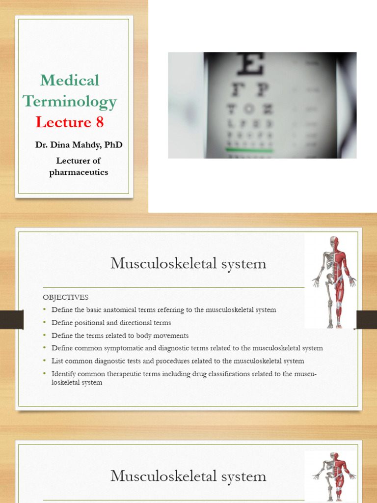 Musculoskeletal System Terminology Guide | PDF