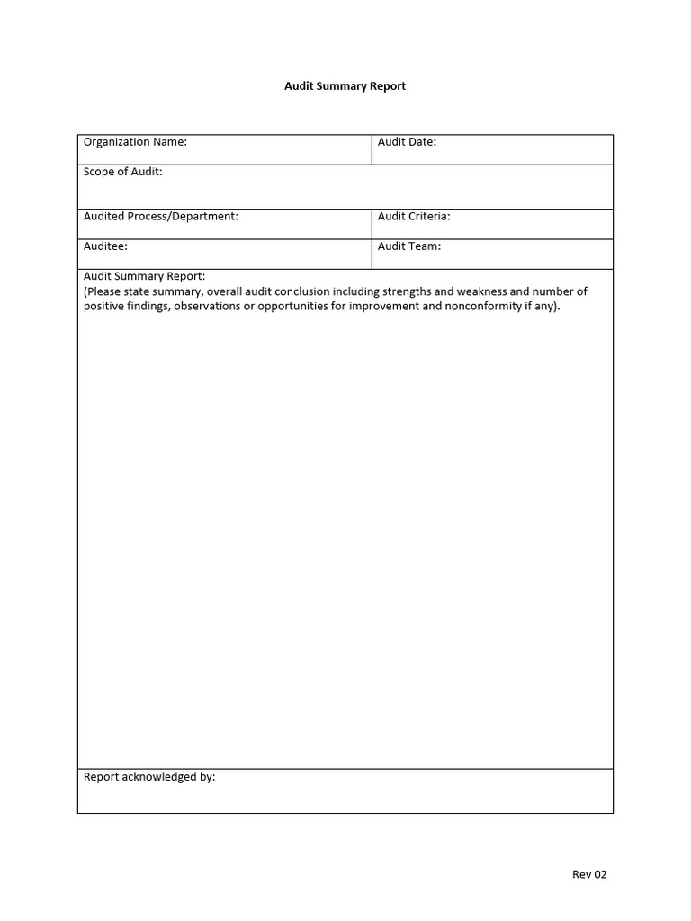 Audit Summary Report Overview | PDF