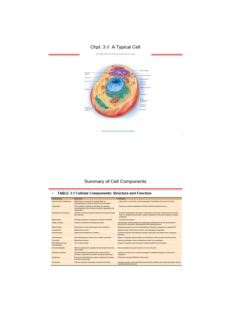 6 - Chapter - 06 - lecture (Interactions Between Cells and the ...