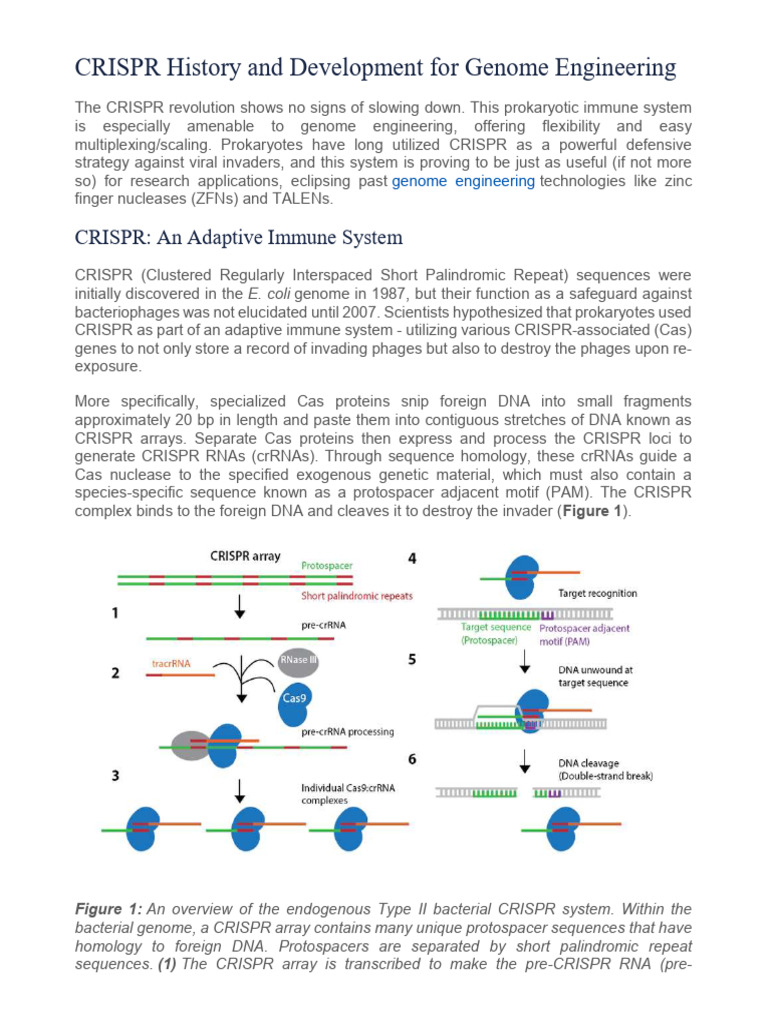CRISPR: History and Genome Engineering | PDF | Crispr | Epigenetics