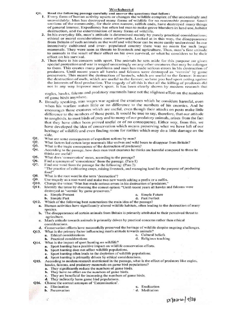 English Potfolio | PDF