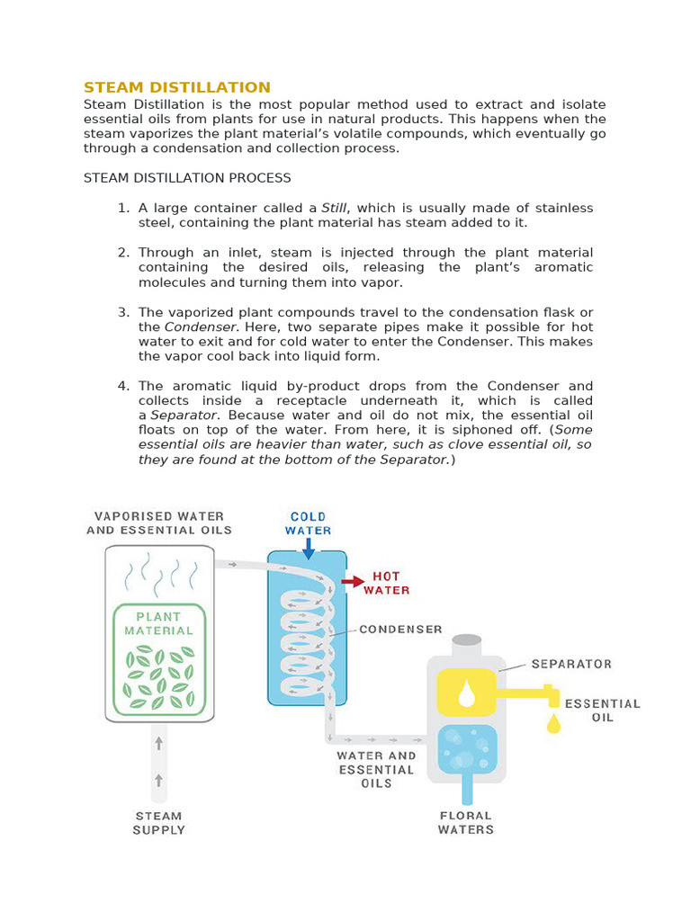 Ana Lab 4 Assignment | PDF | Chemistry | Chemical Substances