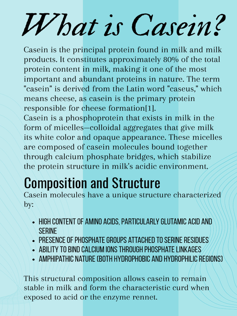 Understanding Casein: Types and Structure | PDF
