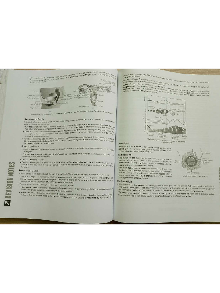 Queebee Biology Part 2 | PDF