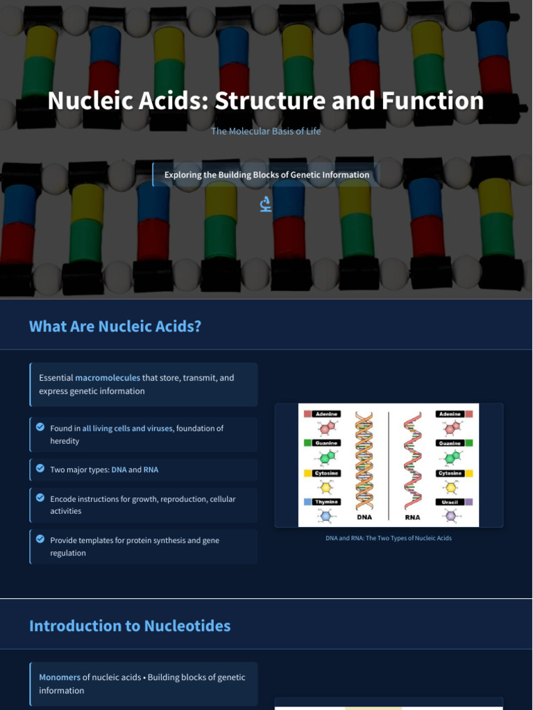 Nucleic Acids_ Structure and Function | PDF | Rna | Dna